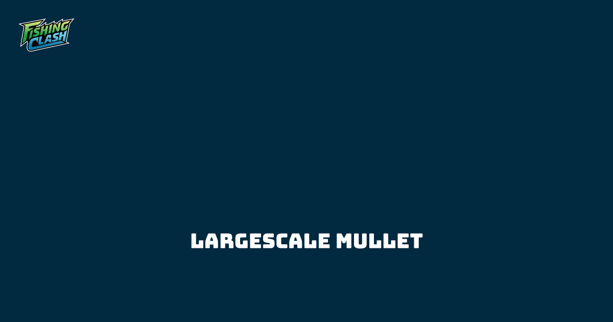 Largescale mullet | Fishing Clash