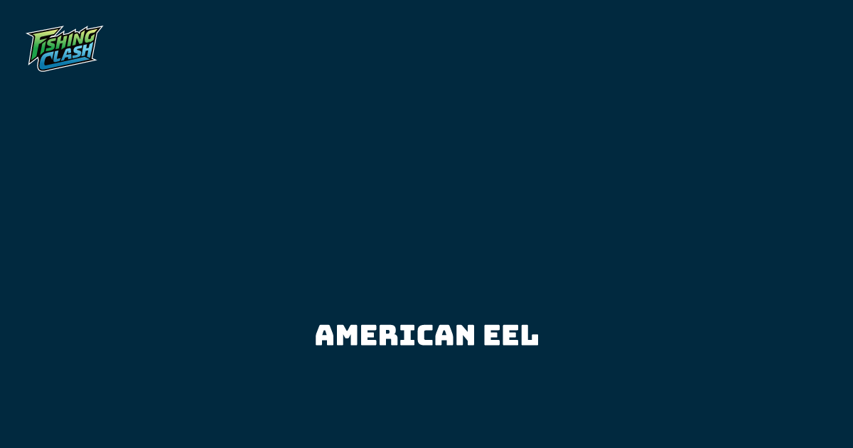 American eel | Fishing Clash
