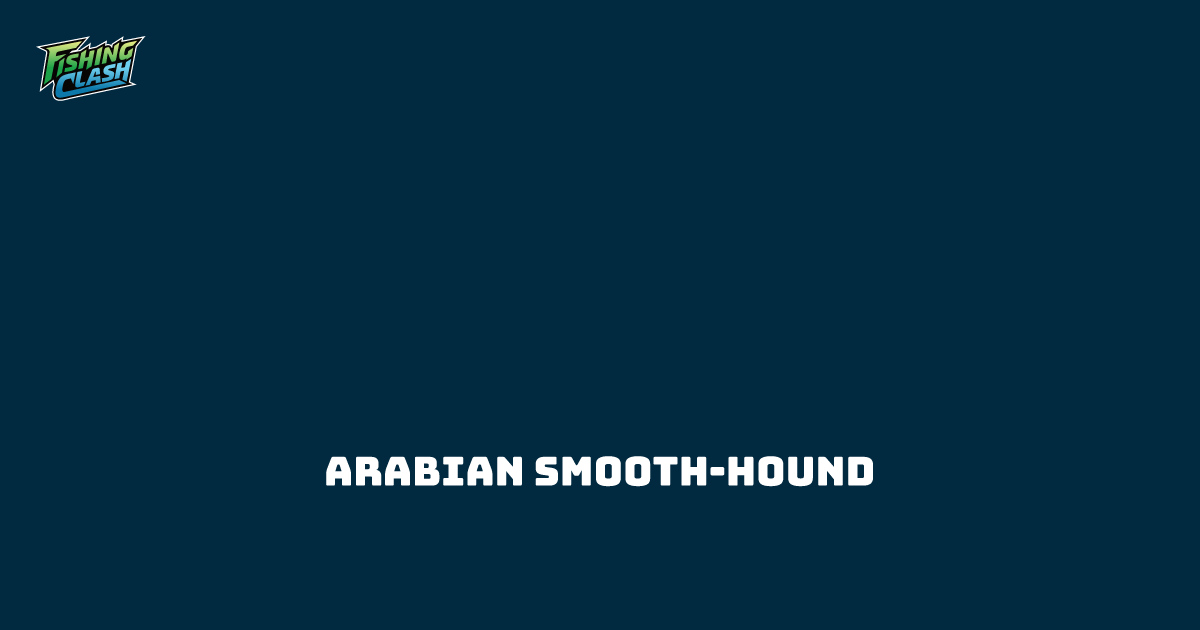 Arabian smooth-hound | Fishing Clash