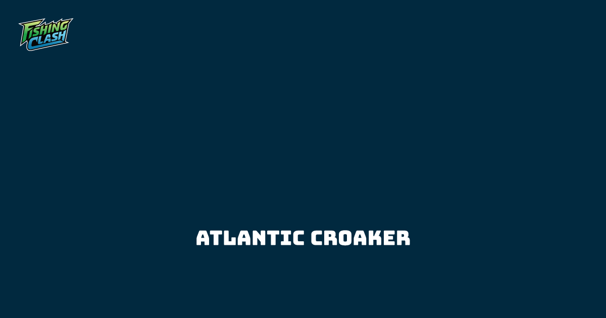 Atlantic croaker | Fishing Clash