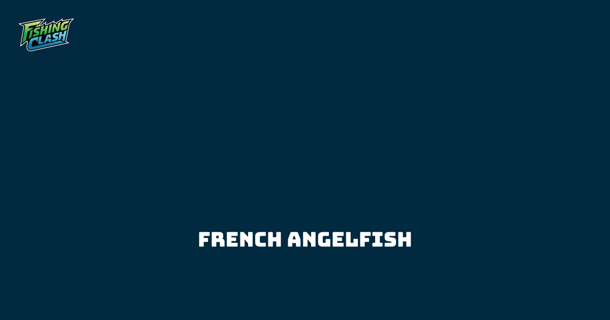 French angelfish | Fishing Clash