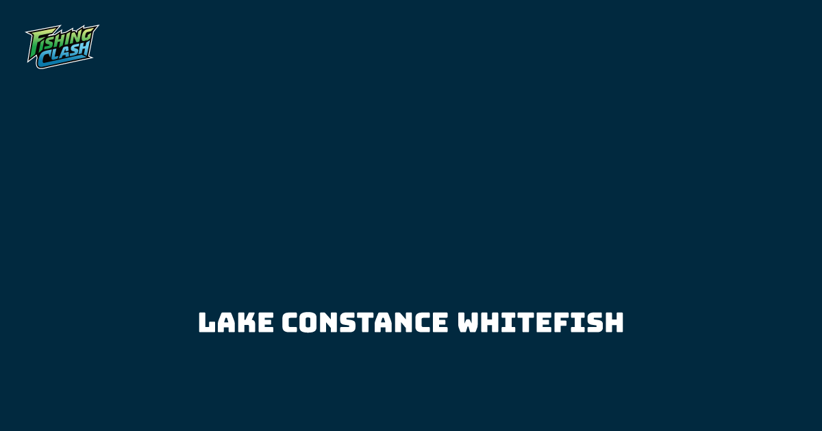 Bodensee-kilch | Fishing Clash