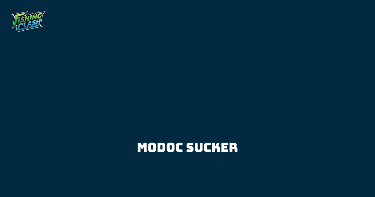 Modoc sucker | Fishing Clash