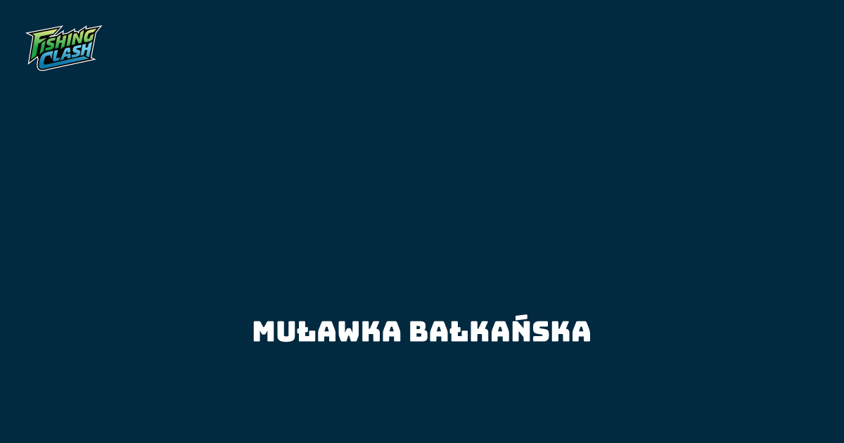 Muławka bałkańska | Fishing Clash