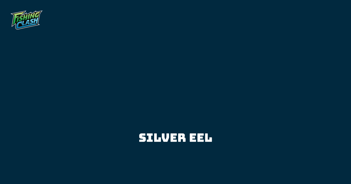 Silver eel | Fishing Clash