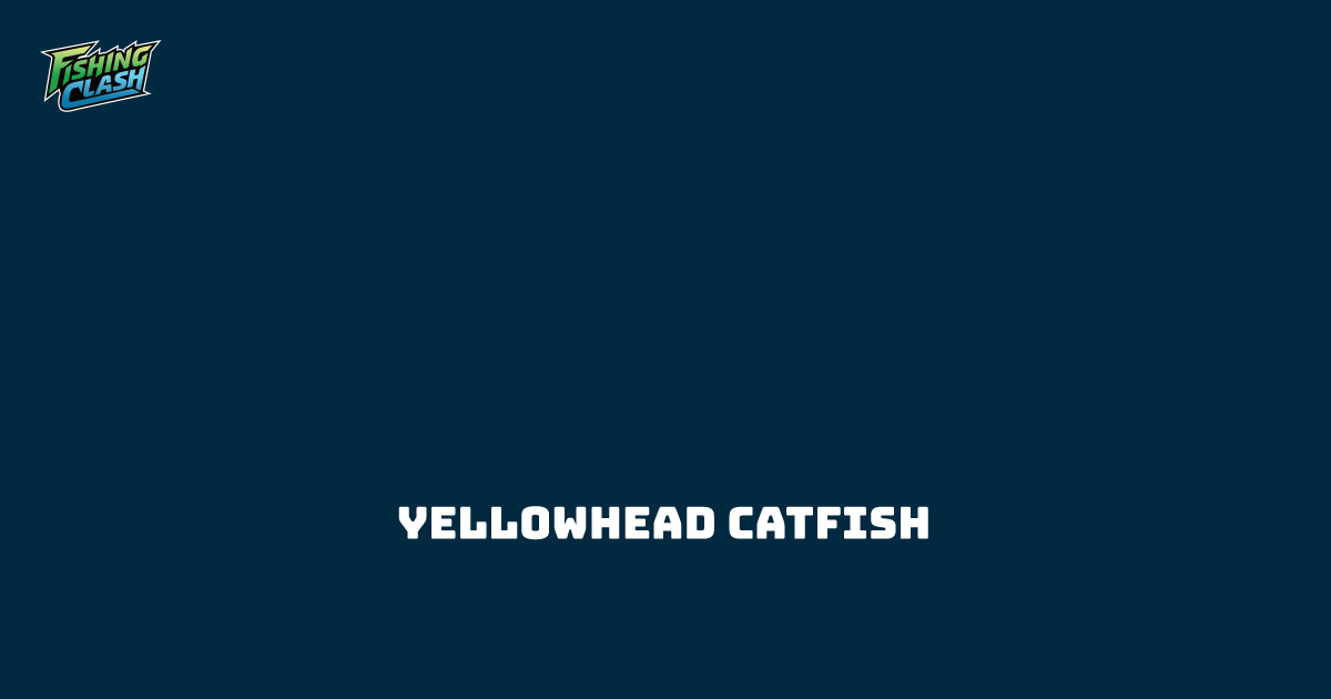 Yellowhead catfish | Fishing Clash